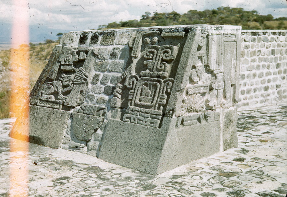 Stay Home with SAM Archives - SAMBlog