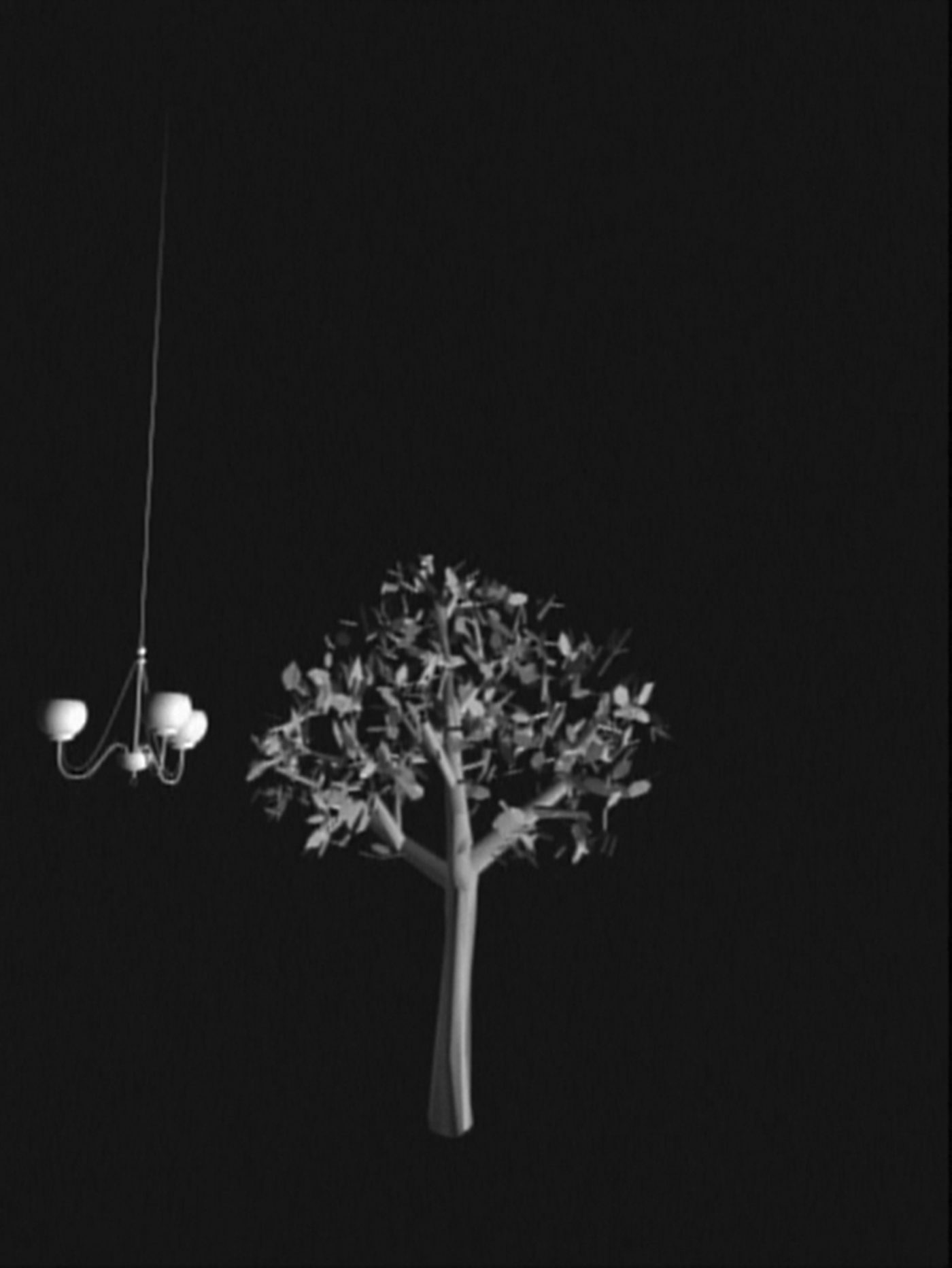 Object of the Week: Liminal Objects #5 - SAM Stories