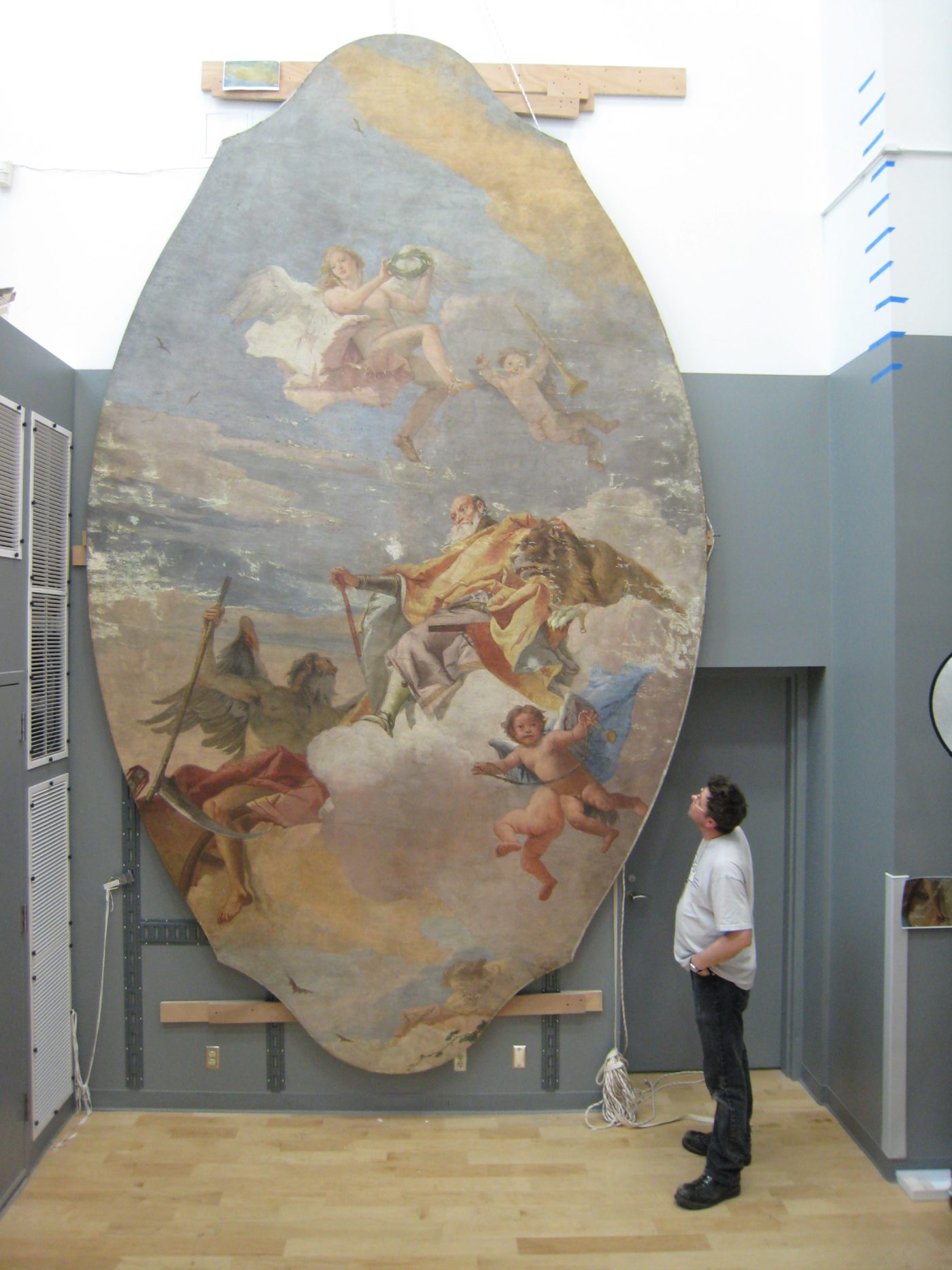 Behind the Scenes with SAM's Conservation Team - SAM Stories