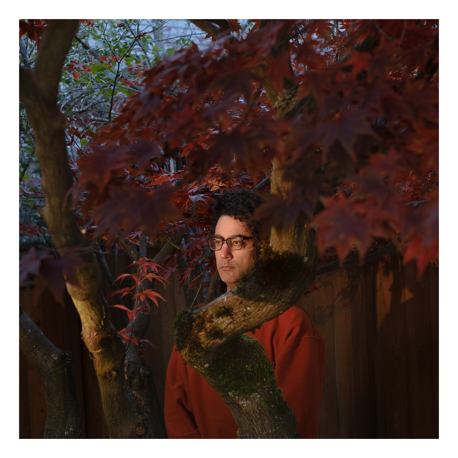 Carrie Mae Weems Archives - SAMBlog