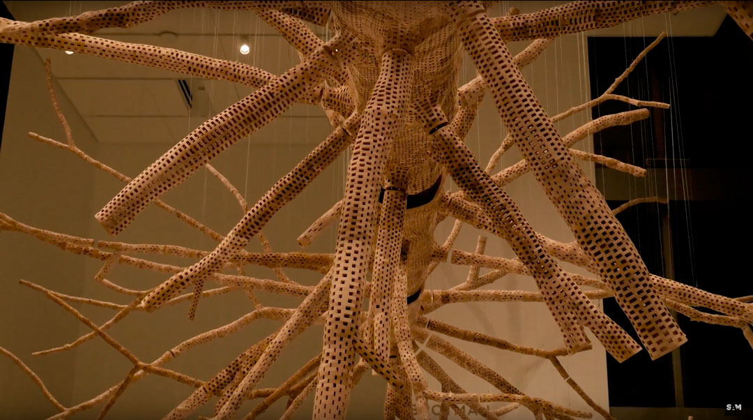 Everything You Wanted to Know About Middle Fork - SAM Stories